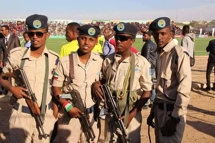 Dangerously Unregulated: The Urgent Need for Demilitarization ...