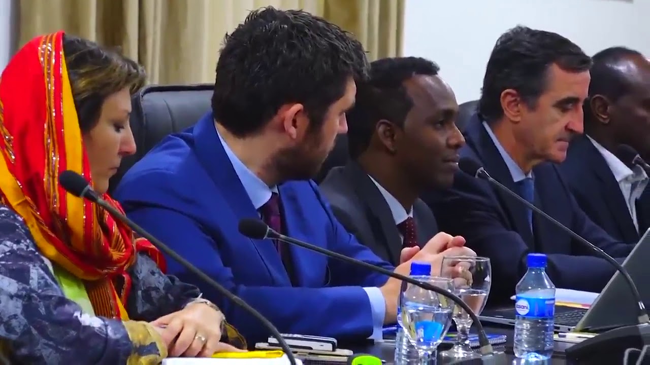 Imperfect Democracy: How Somaliland's Political Parties got the ...