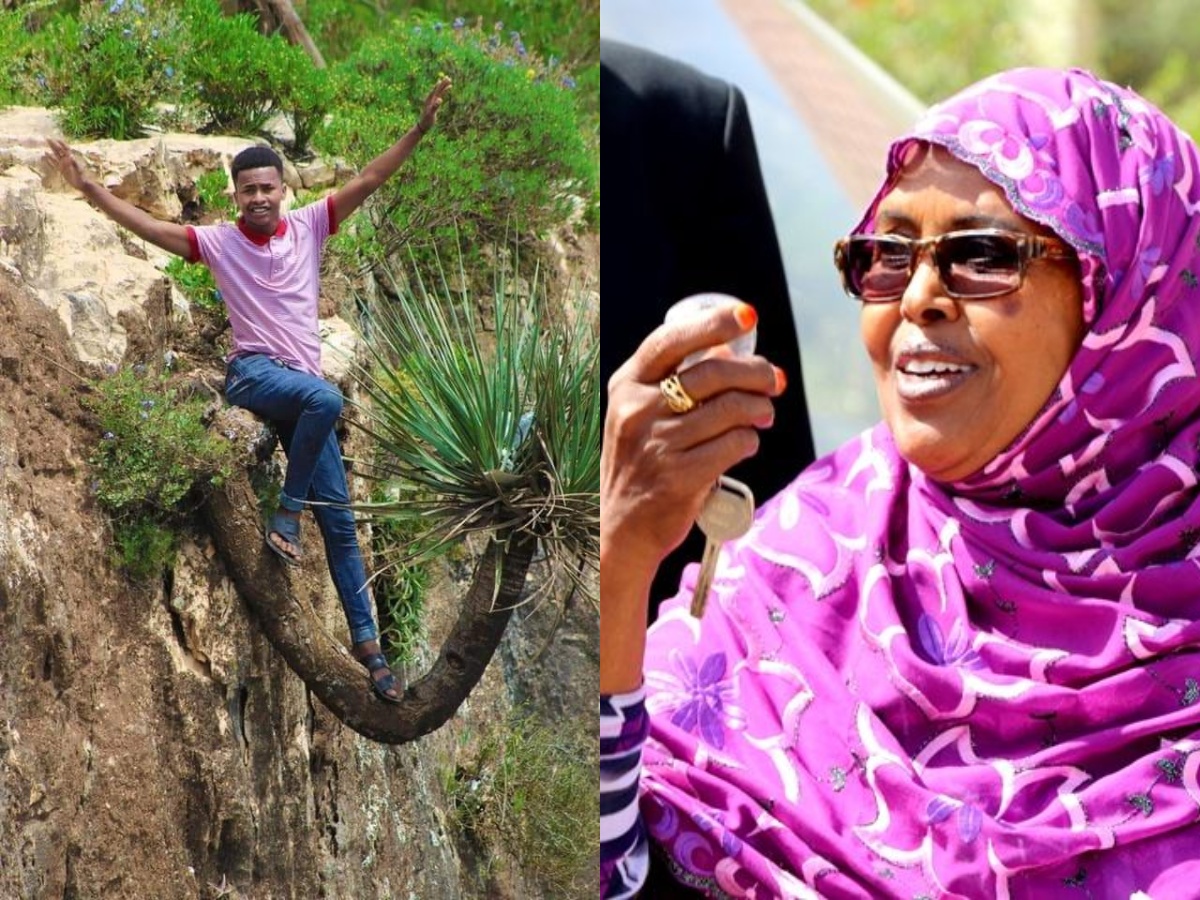 Iconic Dragon’s Blood Tree on Daallo Mountain Cliff Cutdown ...