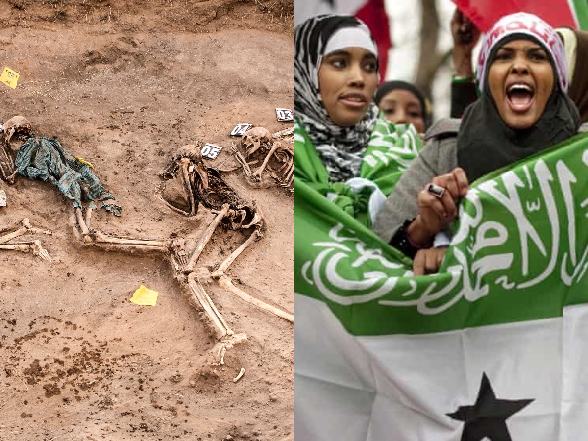 Somaliland: From A Failed Union to A Thriving Democracy - Somaliland Chronicle