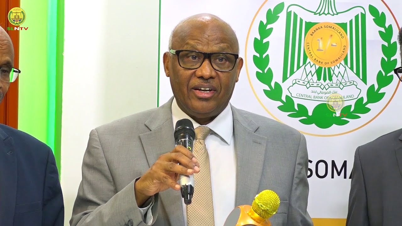 Petty Theft, Forgery and Assault: How President Bihi Appointed a Common ...