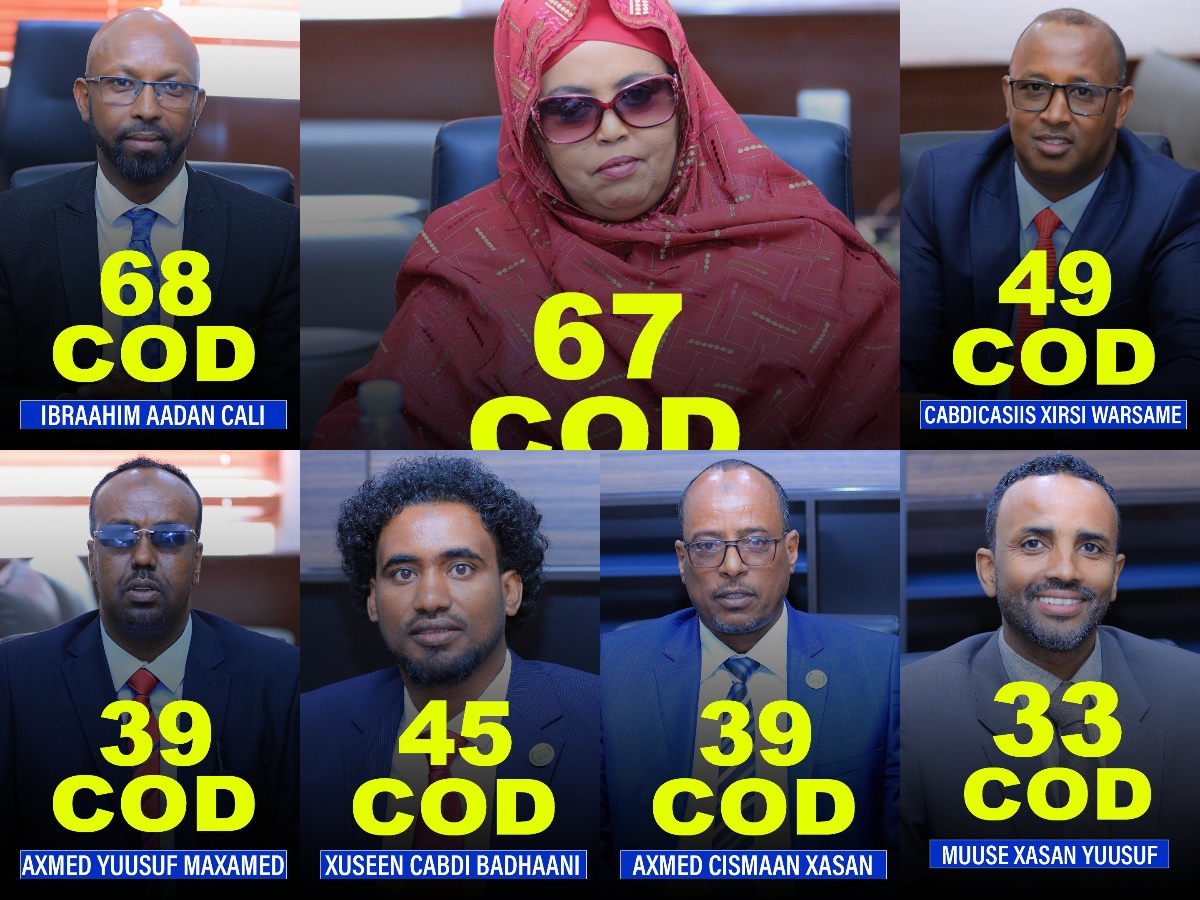 Somaliland Parliament Approves Four Out of Seven Proposed Election ...
