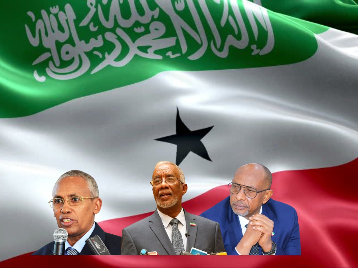 Wasted Three Decades for Seeking Somaliland’s Recognition: Critical Assessment on Somaliland ...