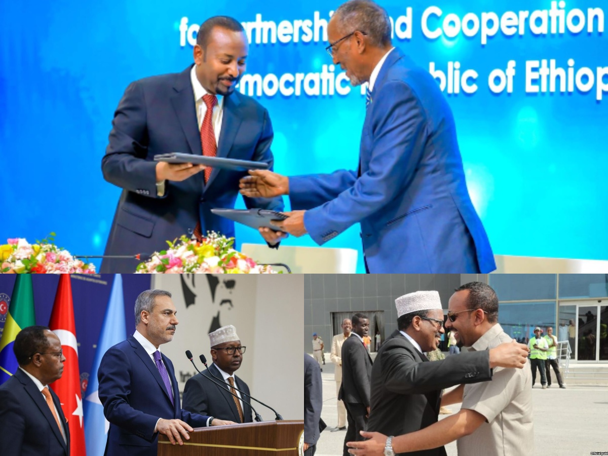 Red Sea Mirage: Turkey's Snake Oil, Somalia's Empty Promises, and ...