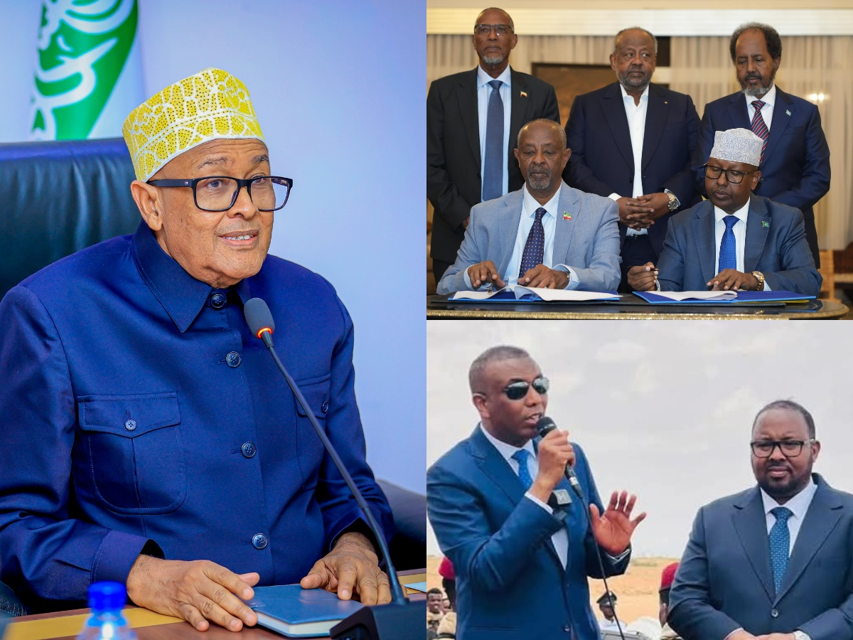 Somaliland Withdraws from Somalia Talks Following Prime Minister's Las Anod Provocation ...