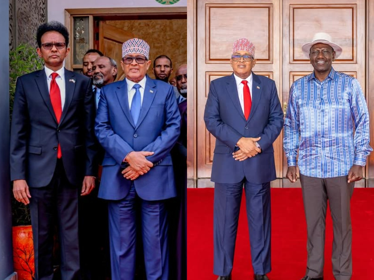 Despite Kenyan Foreign Ministry Opposition, Somaliland President ...