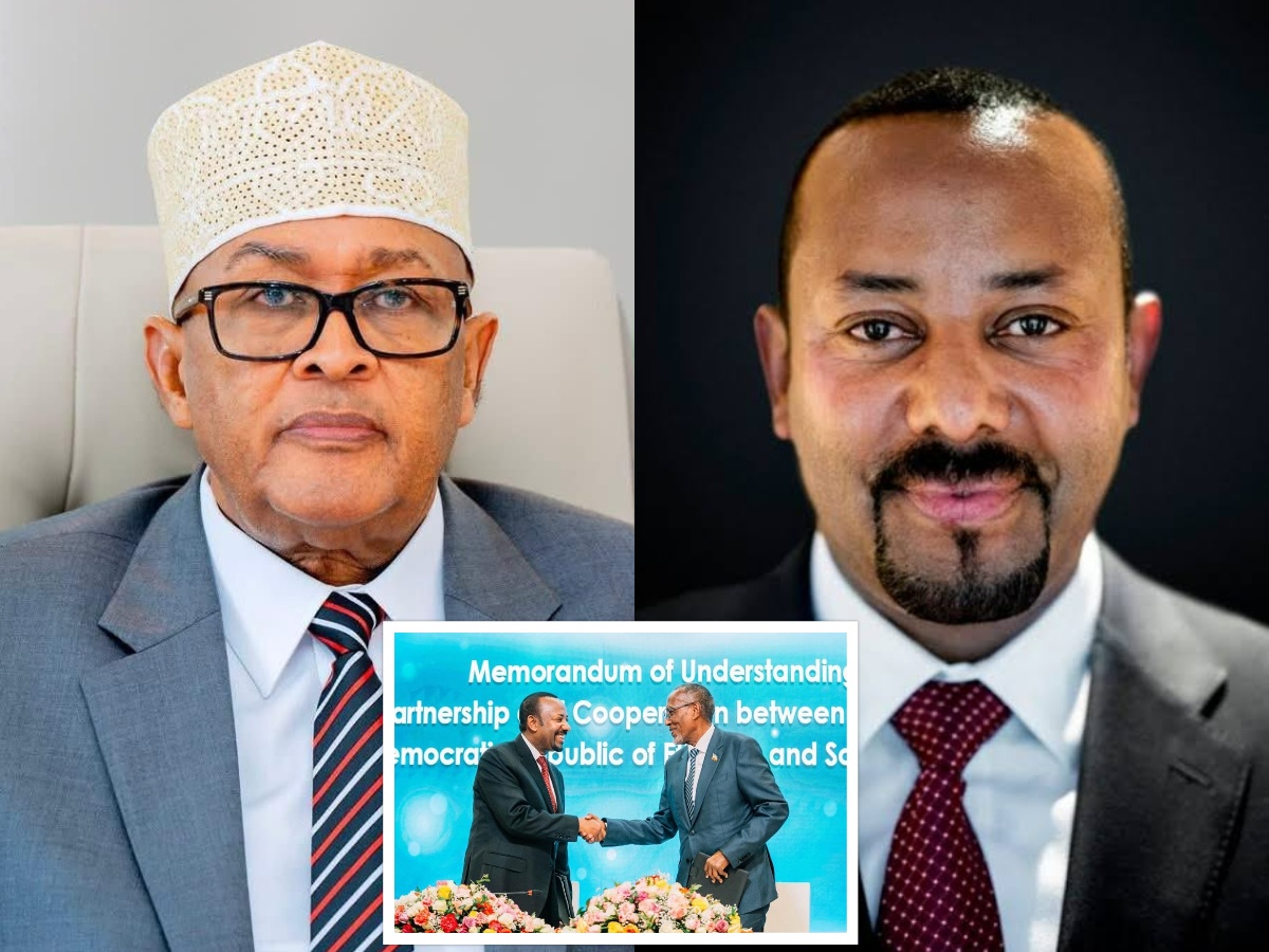 Somaliland-Ethiopia MoU 2.0?: After Ankara, Why a Pact is Now ...