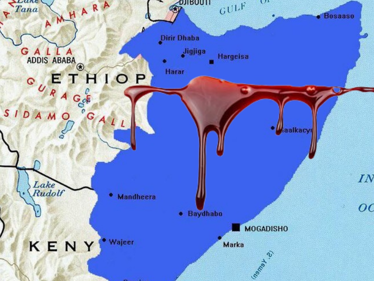 Clarifications on ‘Somali-Weyn’ - Somaliland Chronicle