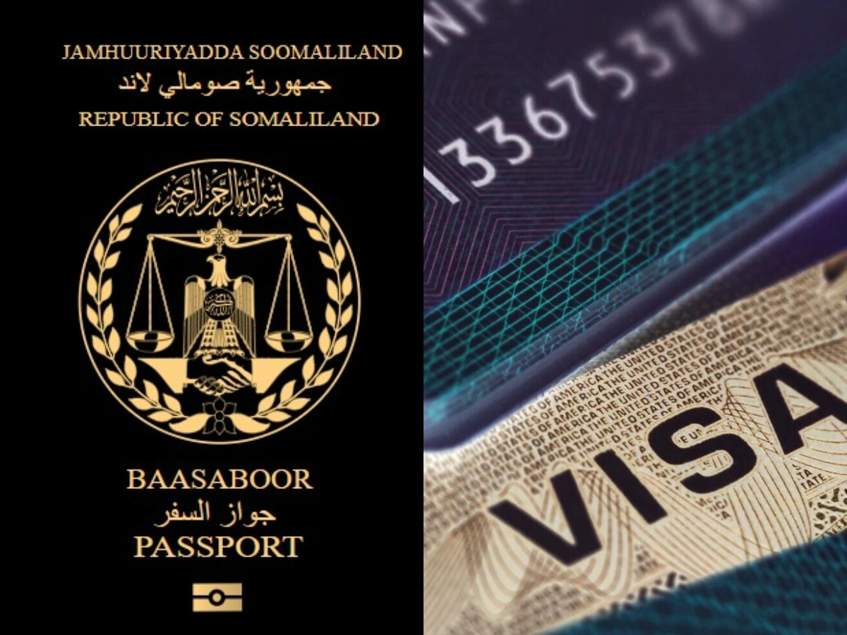 The Difference Between Somalia “ E-Visa “ system and Somaliland’s “Visa ...